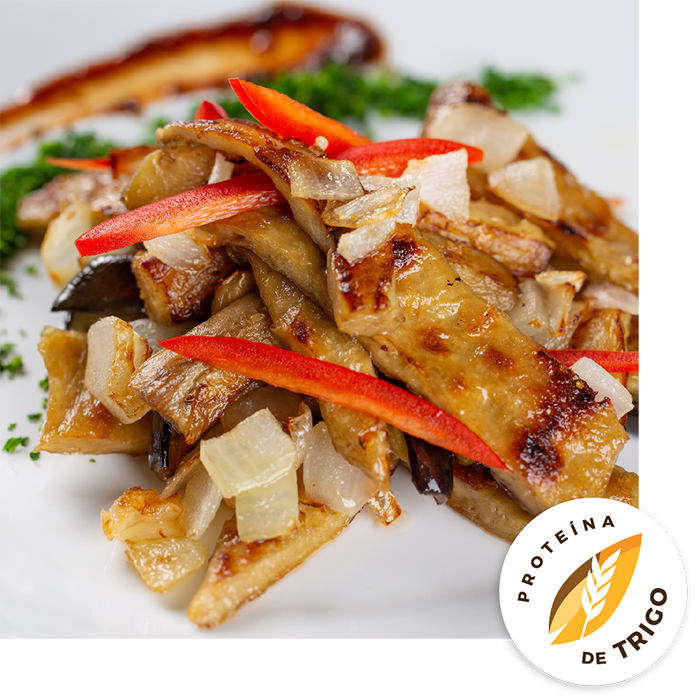 Carnitas – Plant based – Benji Gourmet